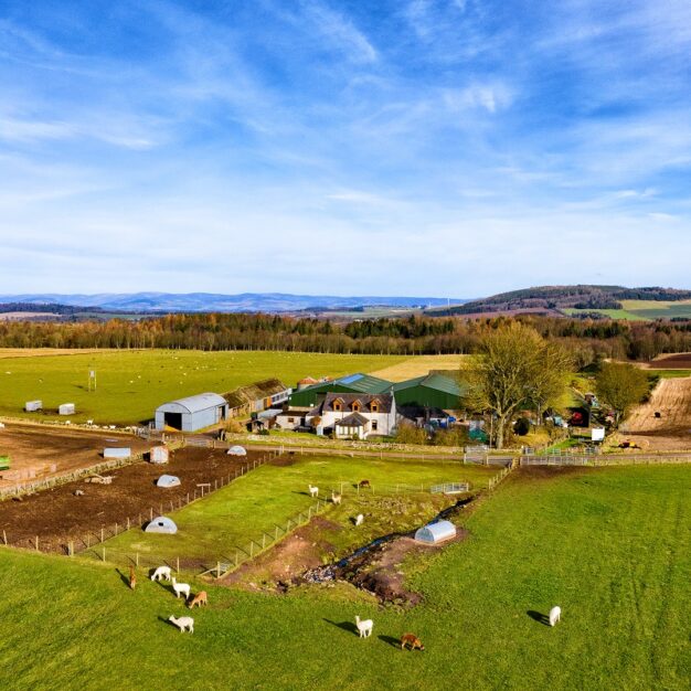 Where to Eat and Drink in Forfar - Visit Angus