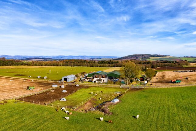 Attractions in Angus | Visit Angus