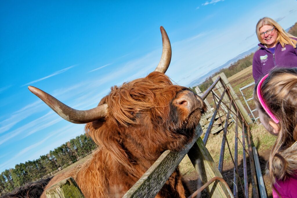 Family Friendly Farm Adventures in Angus | Visit Angus
