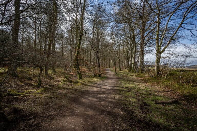 Insider's Guide to walking routes in Angus | Visit Angus