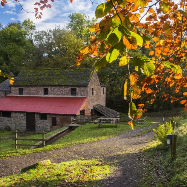 Sample delicious food and drink in Angus | Visit Angus