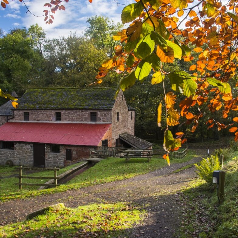 25 Reasons to Visit Angus