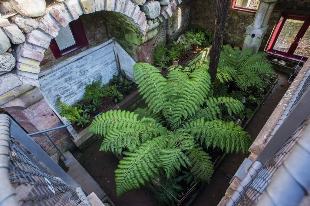 Insider's Guide to visitor attractions in Angus | Visit Angus