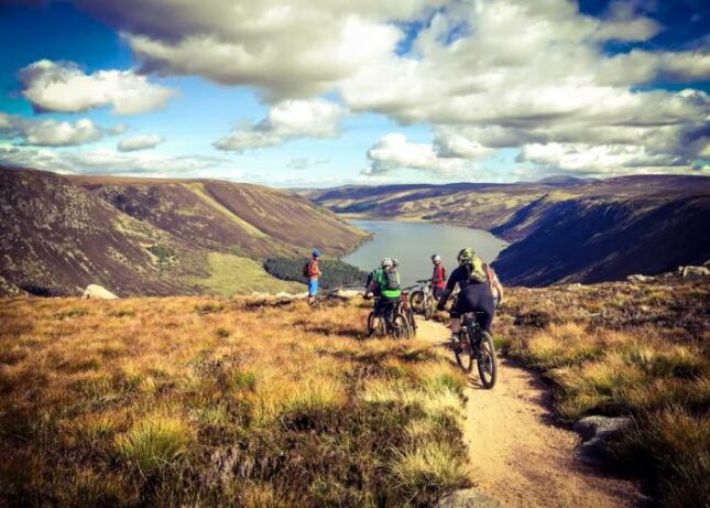 Attractions in Angus | Visit Angus