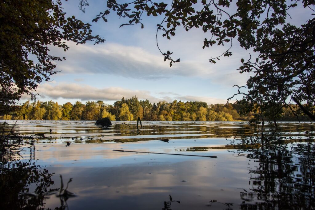 Insider's Guide to coast & waters in Angus | Visit Angus