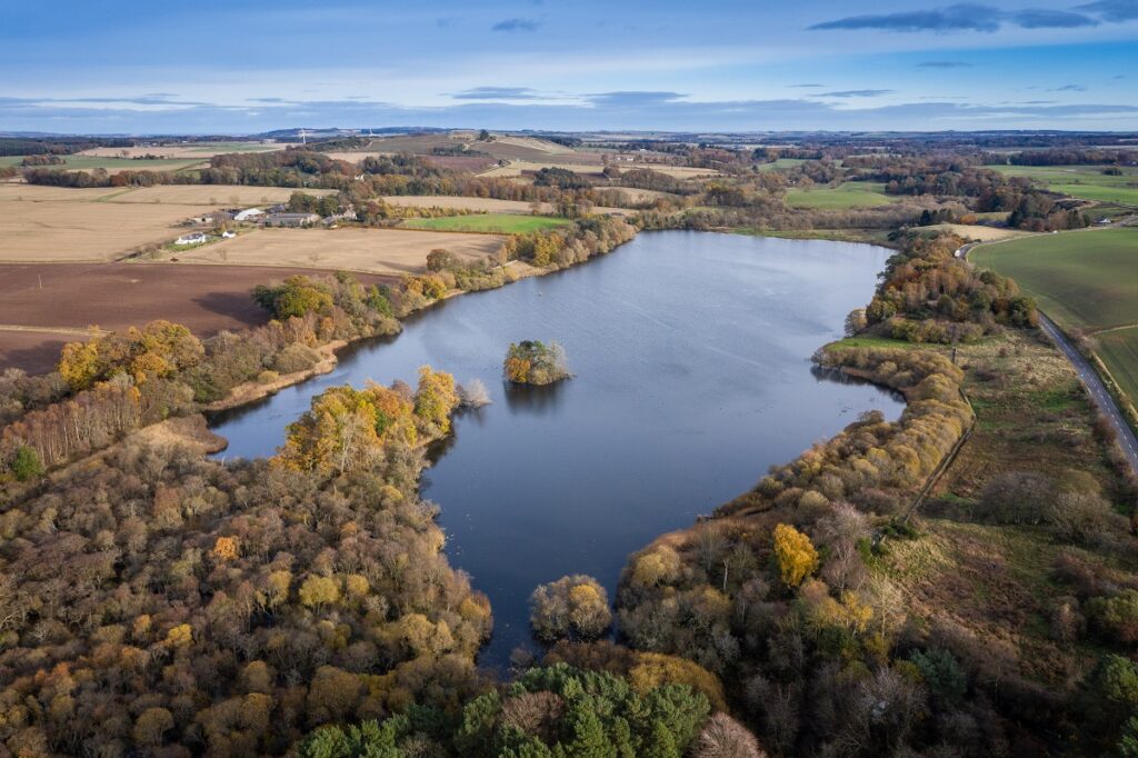 Insider's Guide to nature & wildlife in Angus | Visit Angus
