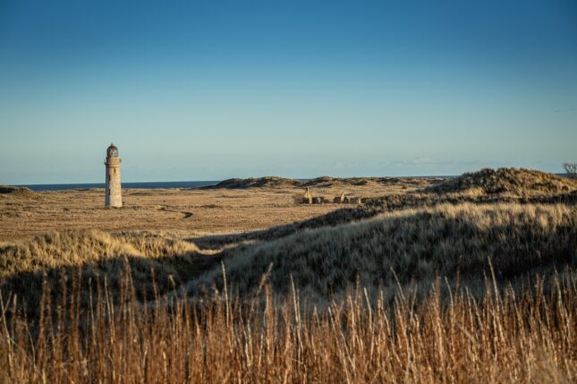 Attractions in Angus | Visit Angus