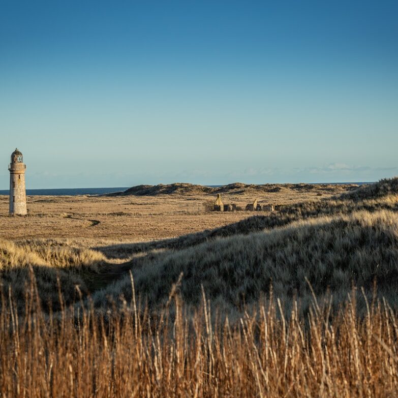 Attractions in Angus | Visit Angus