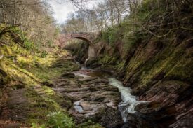 Insider's Guide to walking routes in Angus | Visit Angus