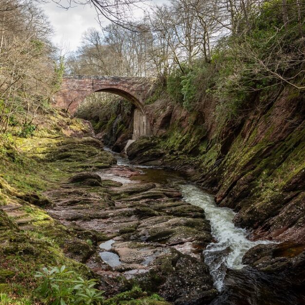 Attractions in Angus | Visit Angus