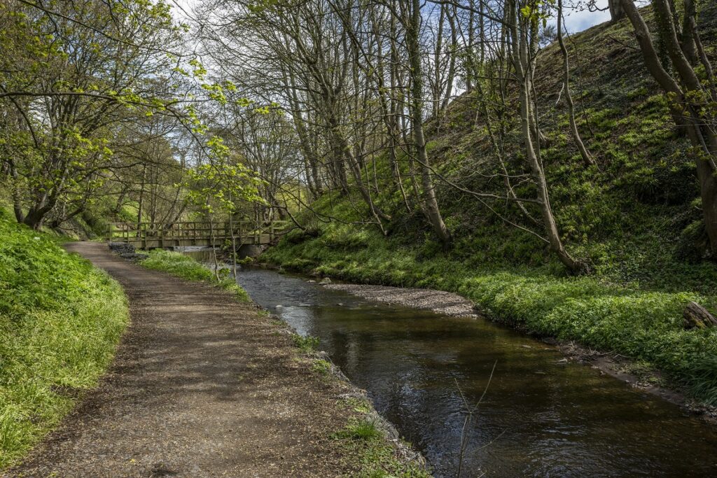 Attractions in Angus | Visit Angus