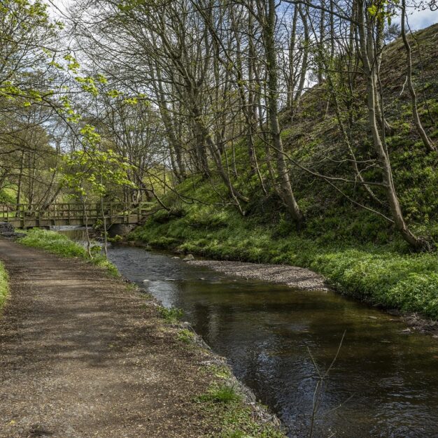 Attractions in Angus | Visit Angus