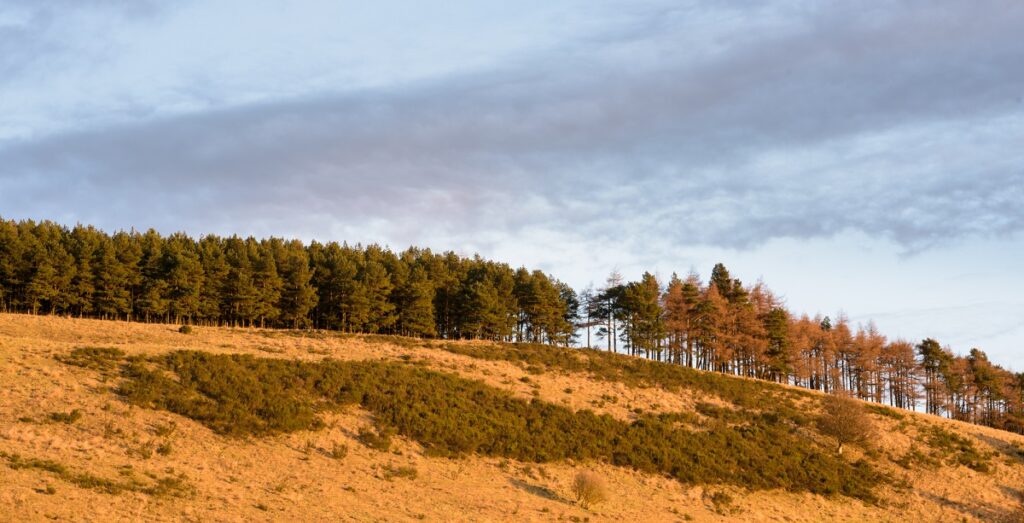 Attractions in Angus | Visit Angus