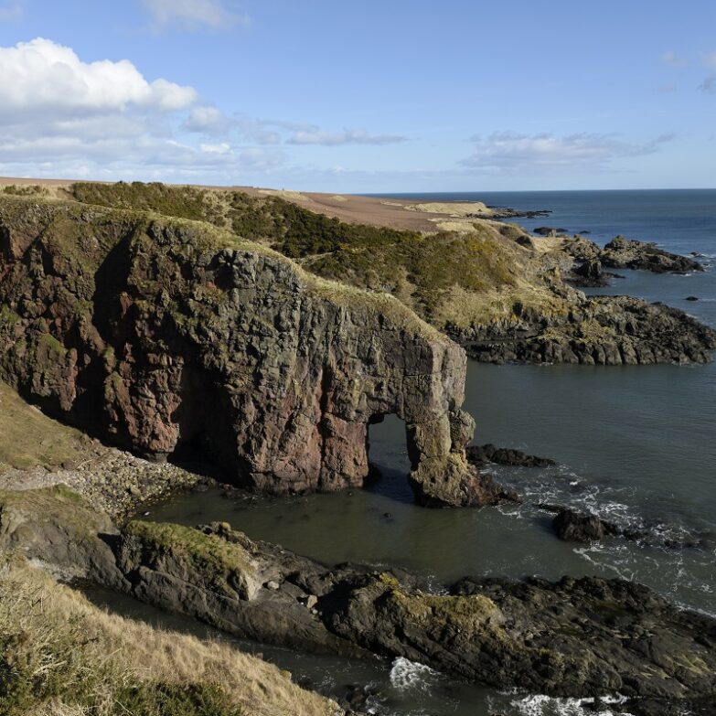 Discover the Best Things to Do in Montrose - Visit Angus