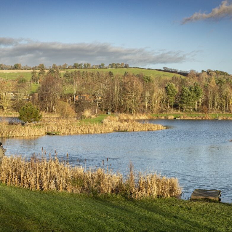 Attractions in Angus | Visit Angus