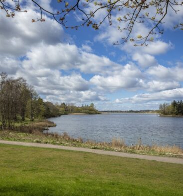 Angus Heritage Trails | Visit Angus