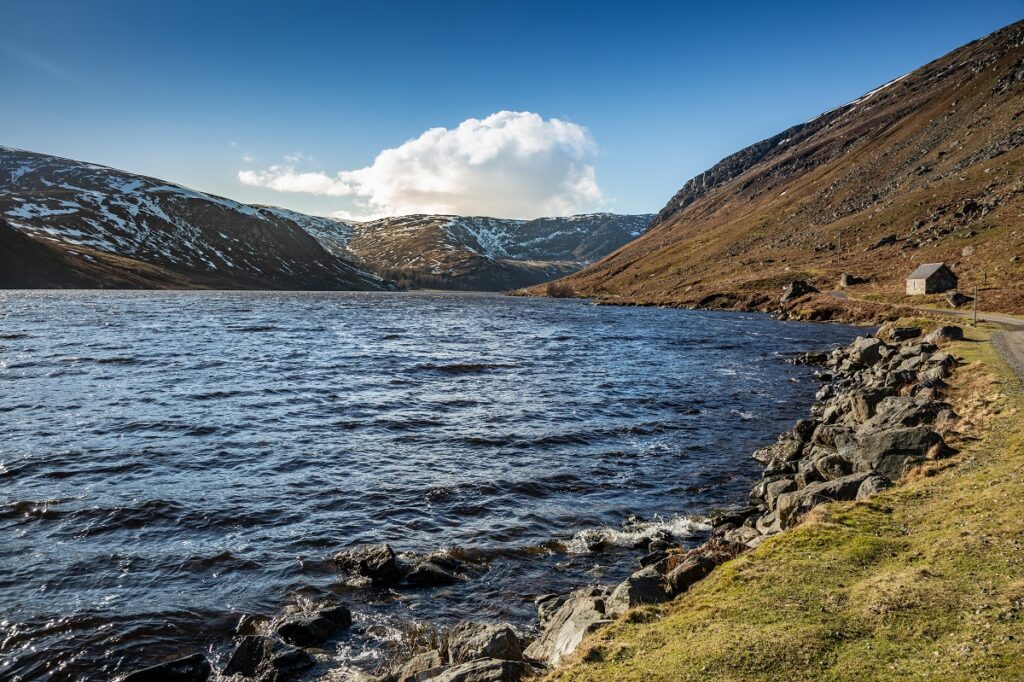 Insider's Guide to nature & wildlife in Angus | Visit Angus