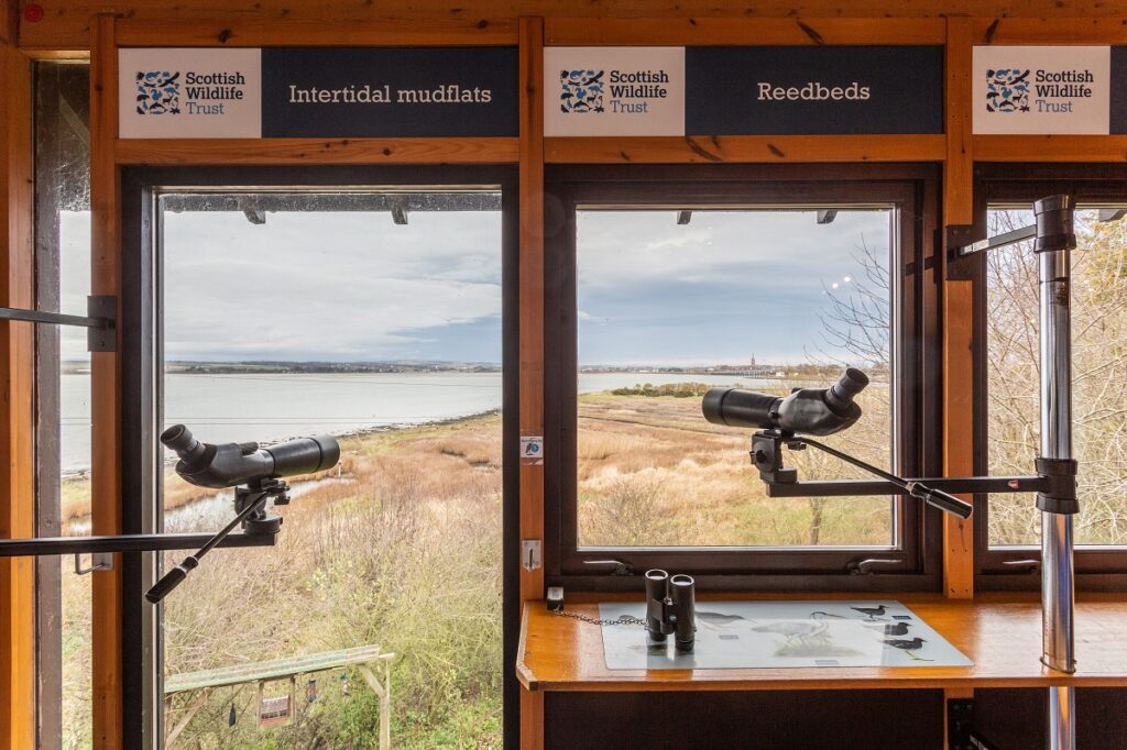 The Best Things to See and Do in Montrose | Visit Angus