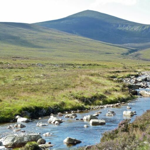 Forfar - Visit Angus