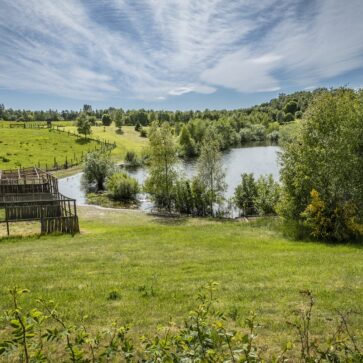 Murton Farm and Nature Reserve - Visit Angus