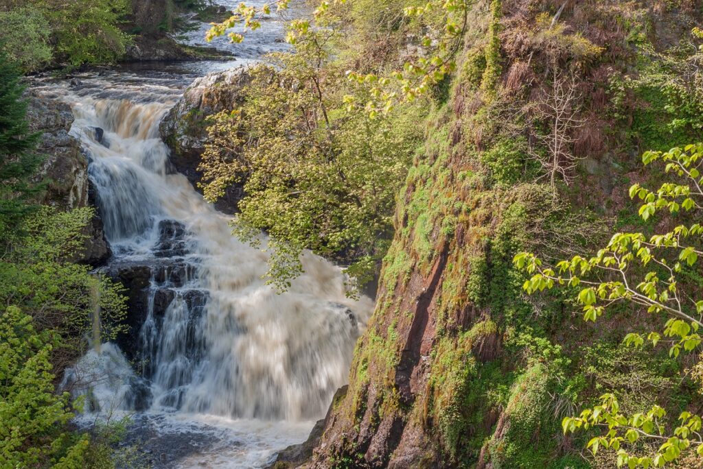 Attractions in Angus | Visit Angus