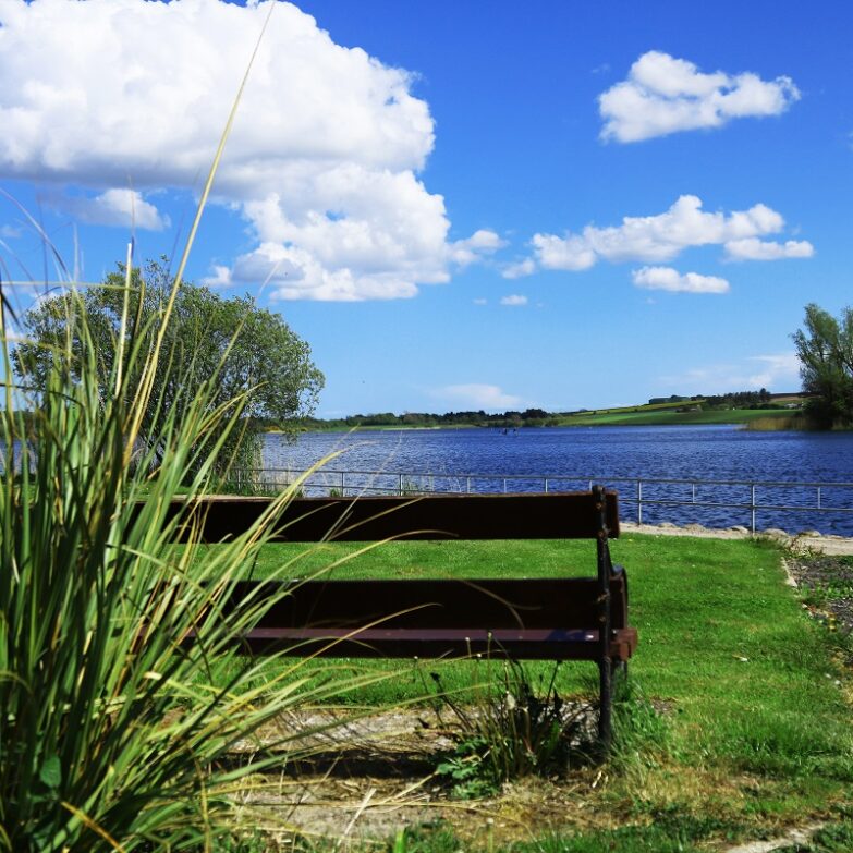 Attractions in Angus | Visit Angus