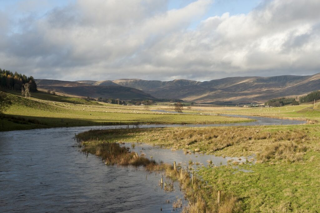 Attractions in Angus | Visit Angus