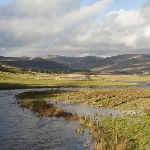 Auldbar Café - Visit Angus