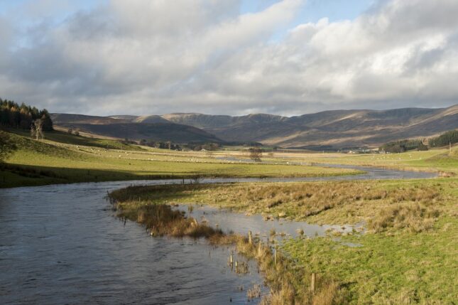 Attractions in Angus | Visit Angus
