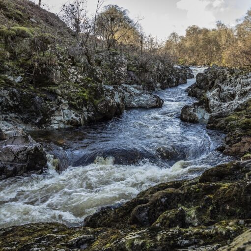 25 Reasons to Visit Angus