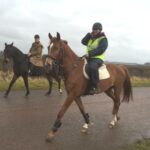 Attractions in Angus | Visit Angus