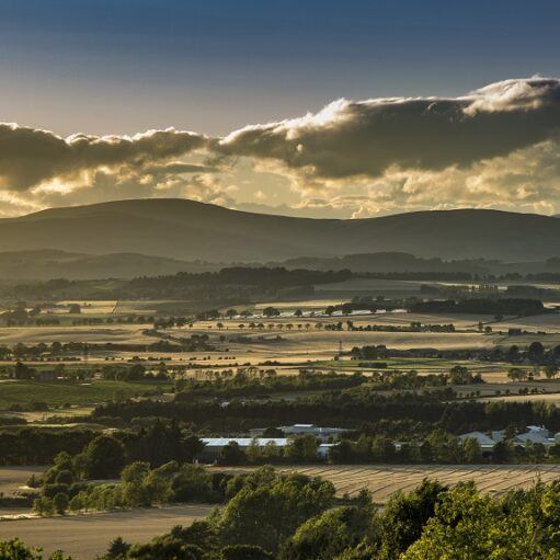 Forfar - Visit Angus