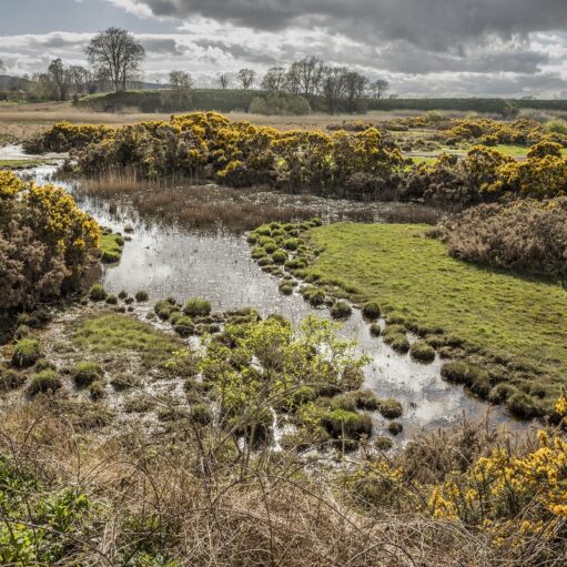Visit Angus | Explore Scotland’s Scenic East Coast