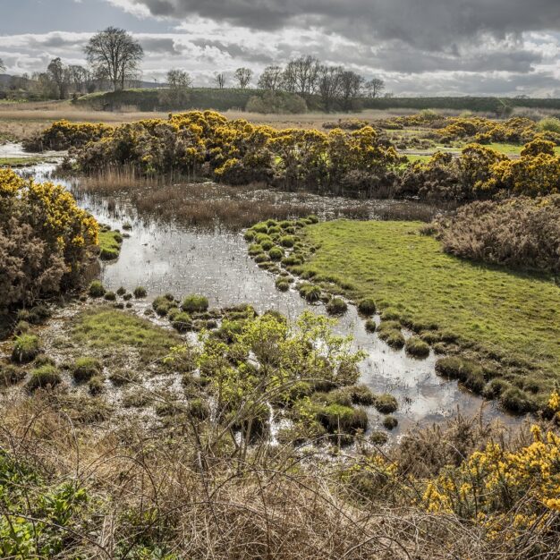 Attractions in Angus | Visit Angus