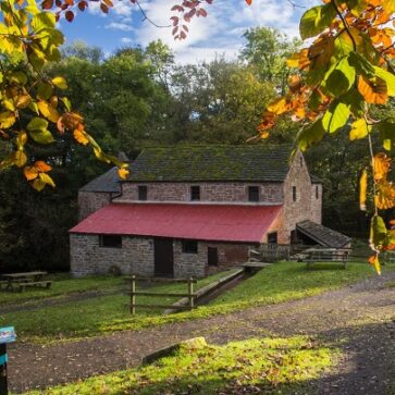 Discover the rich history of Angus | Visit Angus