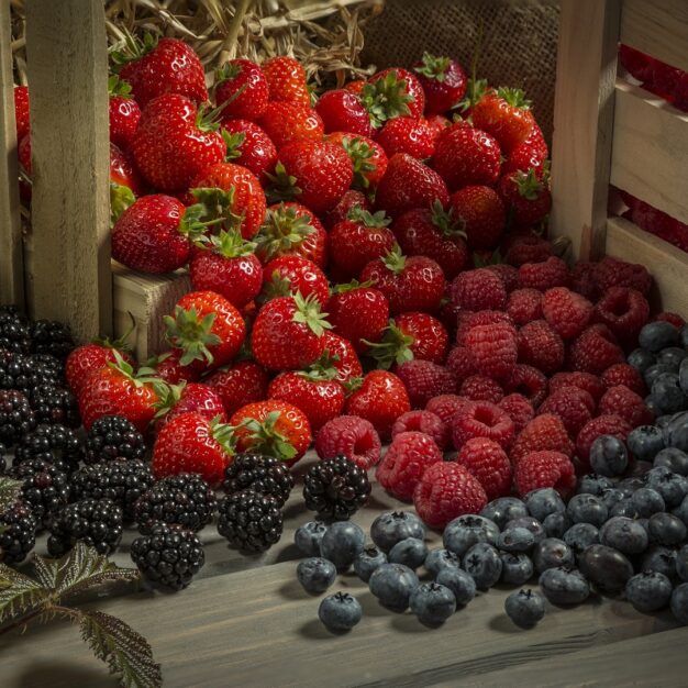 Attractions in Angus | Visit Angus