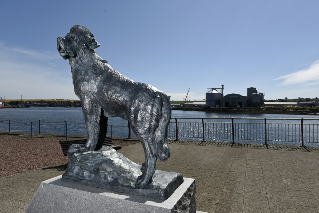 Attractions in Angus | Visit Angus