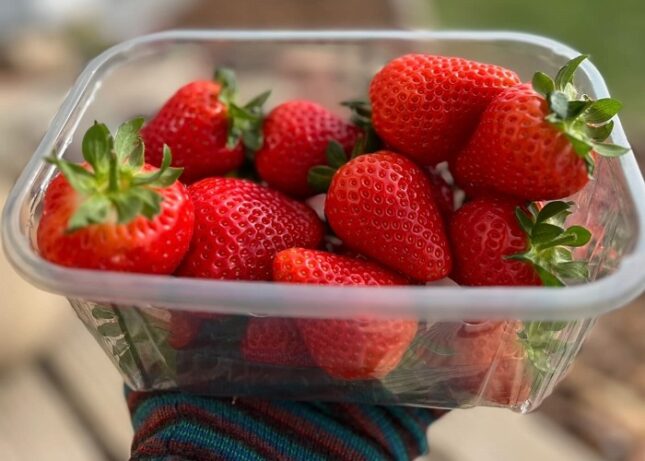 The Angus Berry Trail | Visit Angus
