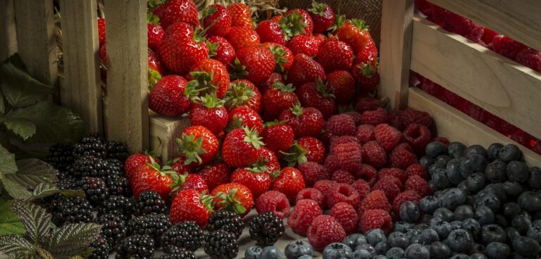 Visit Angus | Explore Scotland’s Scenic East Coast