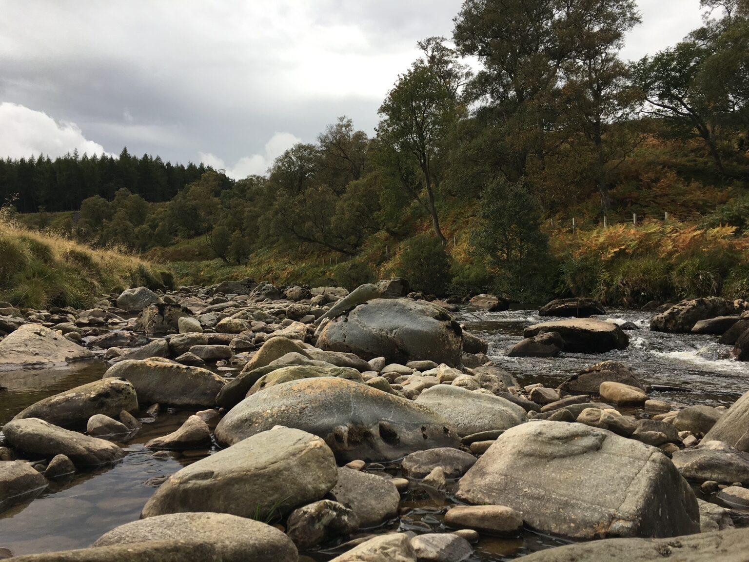 Insider's Guide to nature & wildlife in Angus | Visit Angus