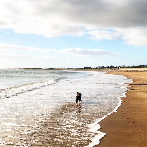 Visit Angus | Explore Scotland’s Scenic East Coast