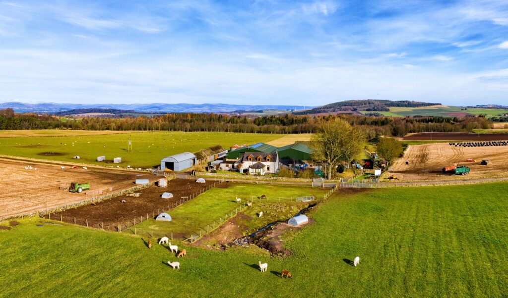Family Friendly Farm Adventures in Angus | Visit Angus